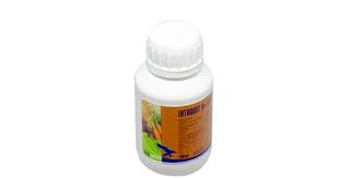 Introvit A 100ml - Shifachem